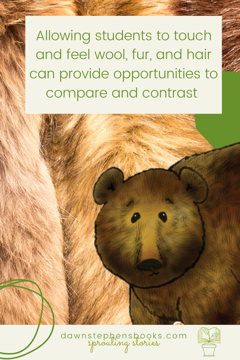 Body Coverings of Animals taught with Mary Had a Little Lamb